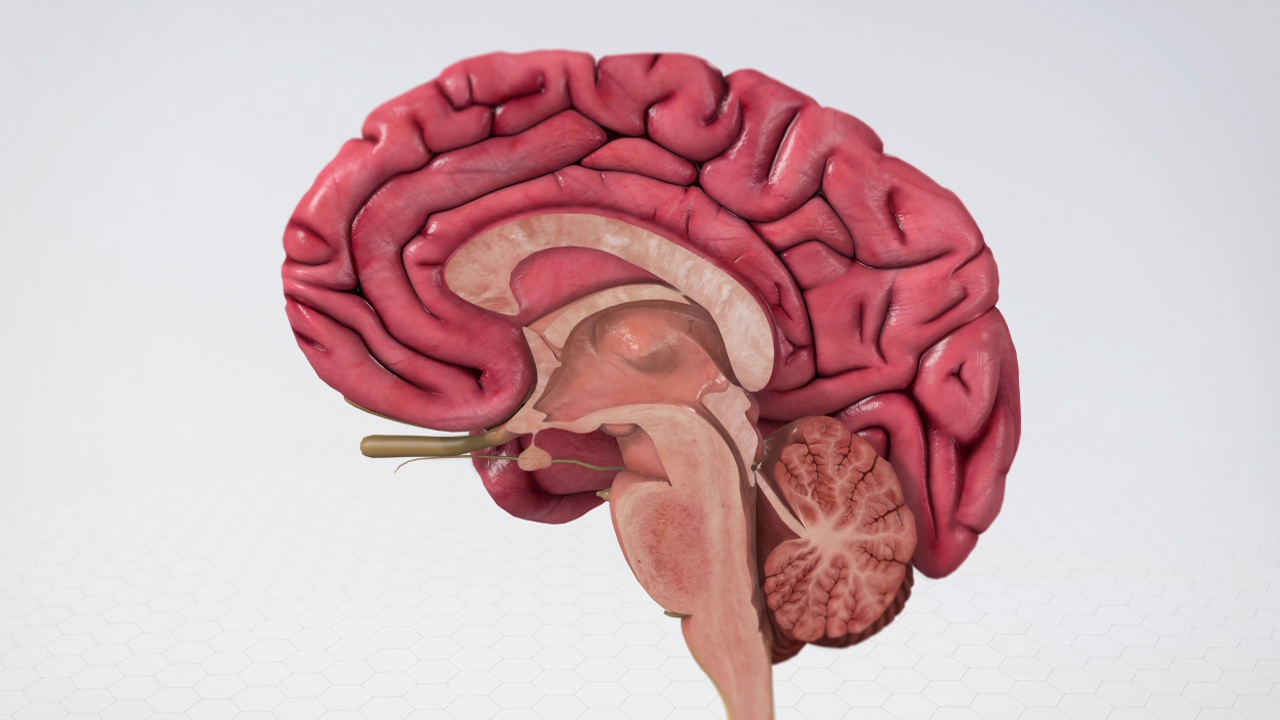 درباره عمل میکروسکوپیک مغز یا میکروسرجری مغز بیشتر بدانید - دکتر محمد ...
